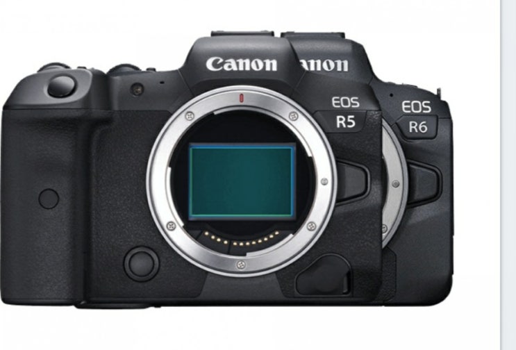 캐논 EOS R5/R6의 RAW파일 드디어 Photoshop과 Lightroom에서 인식문제 해결 : 네이버 블로그