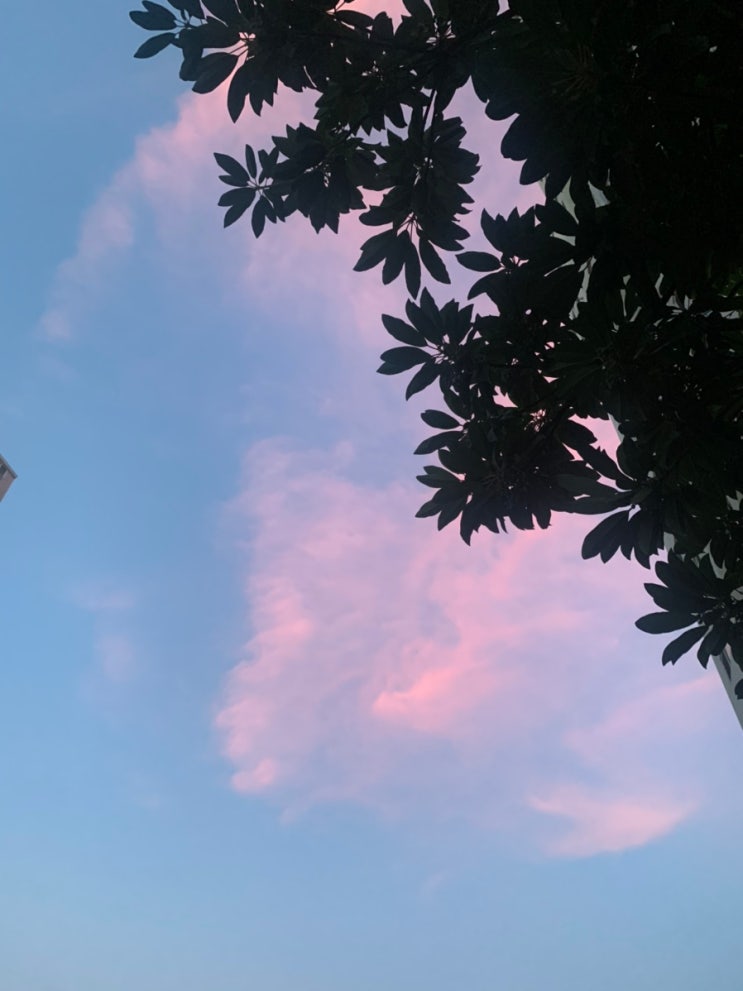 08/19, 마케팅 용어 정리 : CPM,CTR,CPC,CPE,CPV 그리고 impression 과 View 의 차이 : 네이버 블로그