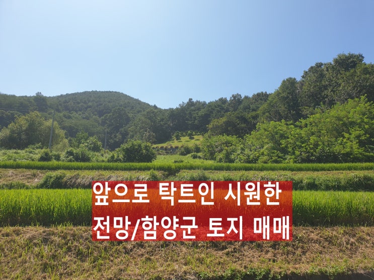함양 토지 매매탁트인 전망 함양군 토지매매텃세 걱정없는 조용한 함양 땅매매함양 전원주택지매매함양부동산유림면부동산