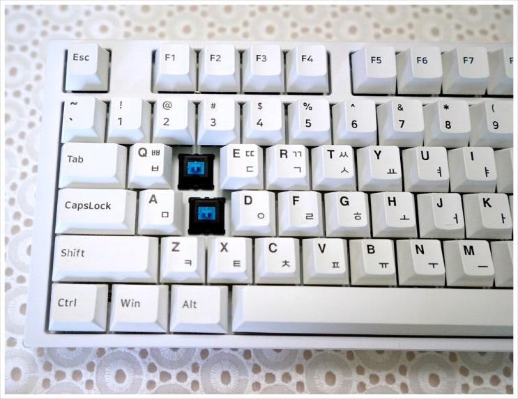 정갈한 체리스위치 기계식 키보드, 앱코 ADK87 리뷰 및 타건기 : 네이버 블로그
