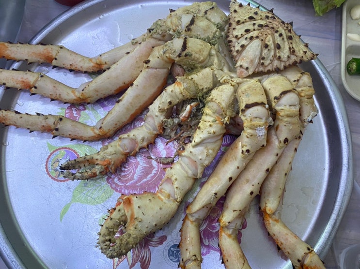 가족여행으로 간 강원도 주문진 맛집 북청집 양념집 추천 애견동반 가능 네이버 블로그