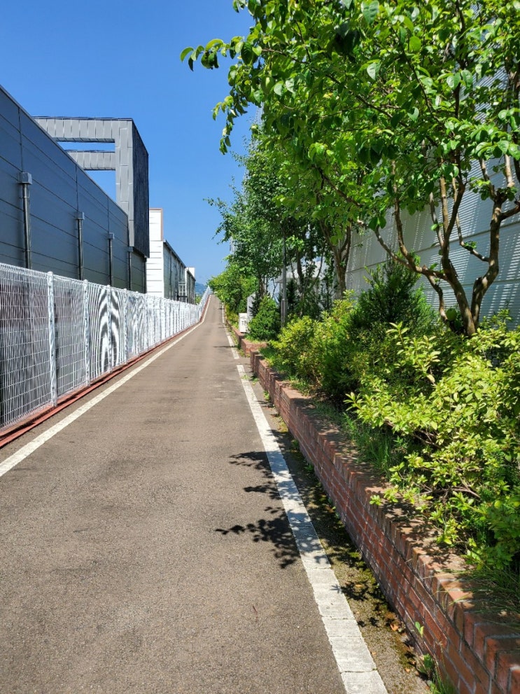 YES24 단기알바 후기 : 네이버 블로그