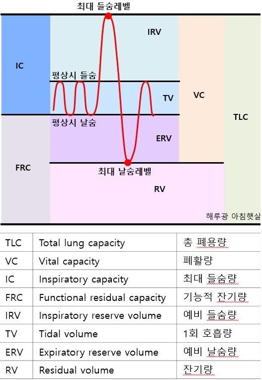 프리다이빙 호흡에 모든 것(Feat. FRC/RV다이빙)-작성 중 : 네이버 블로그