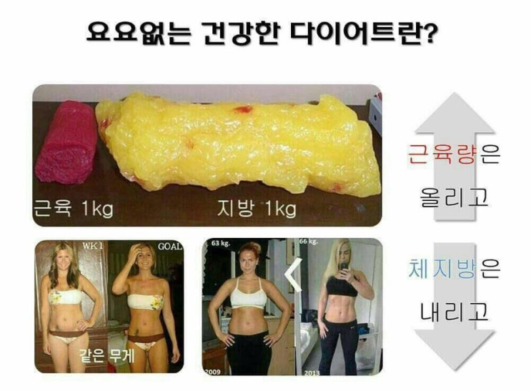 광주슬림앤점핑핏 쌍촌동점핑운동 상무지구점핑운동 화정동점핑운동 농성동점핑운동 트램폴린 점핑다이어트 건강한식사 점핑클럽 점핑운동
