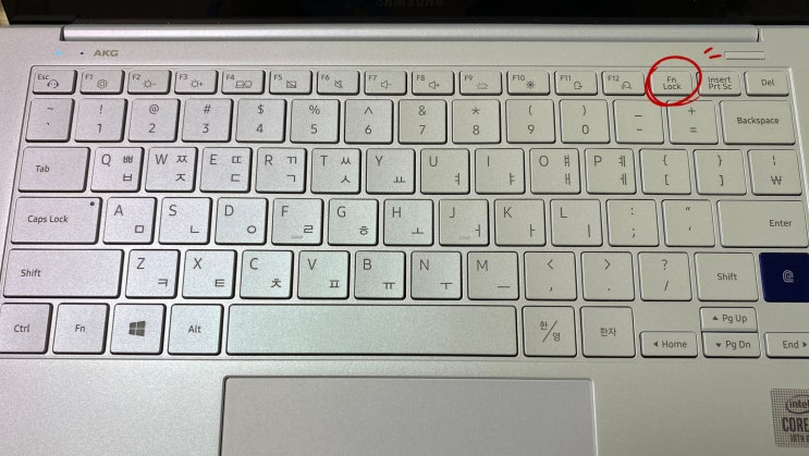 삼성 노트북 Esc 버튼이 안눌려요 해결방법 - Fn Lock : 네이버 블로그