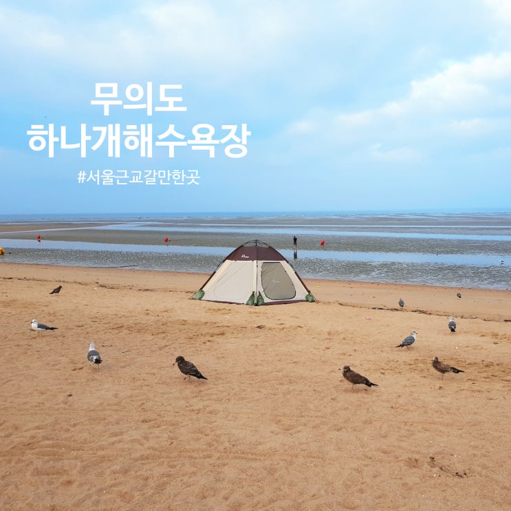 무의도 하나개해수욕장 서울근교 갈만한곳 만족스러워 네이버 블로그