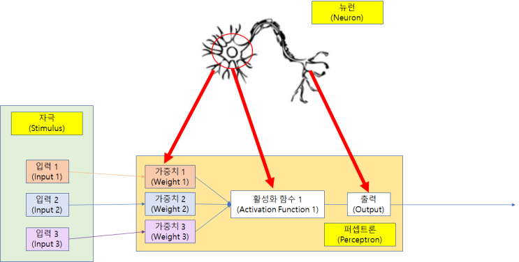 딥러닝 5 퍼셉트론perceptron에 대해서 알아보자 인공신경망ann 퍼셉트론과 뉴런의 차이점 편향 B