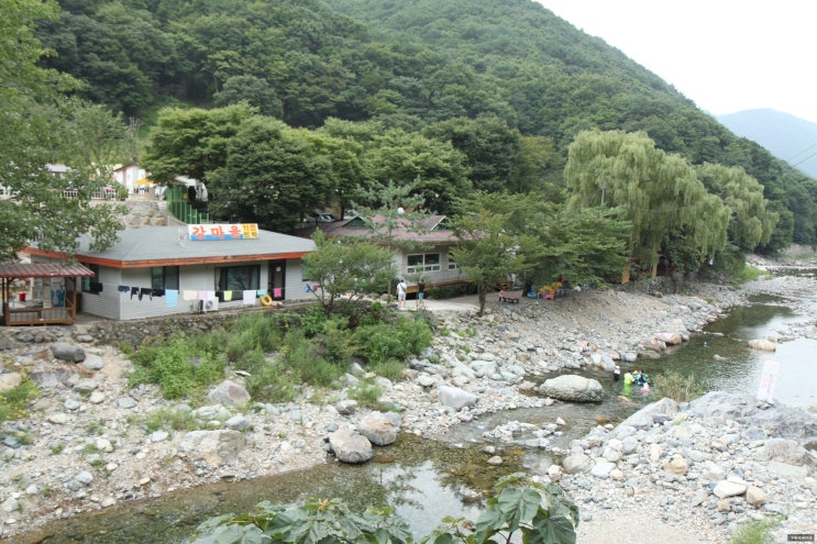 양산 배내골평상대여 강마을민박 계곡 물놀이 네이버 블로그