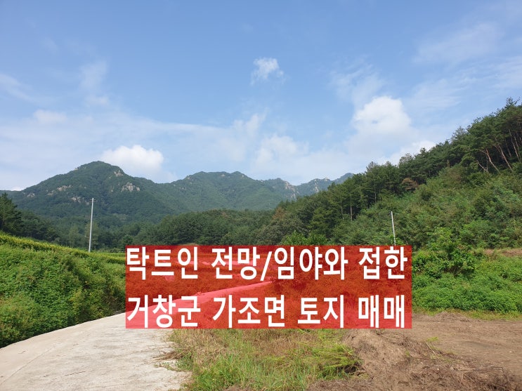 거창 토지 매매마을뒤 임야 접한 거창군 가조면 토지 매매탁트인 시원한 전망 거창 땅매매거창부동산가조면부동산 네이버 블로그