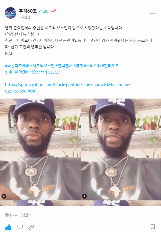 주간베스트 블랙팬서 주인공 채드윅 보스먼 사망 머니스테이션텔레그램 채널해외주식속보헐리우드와칸다포에버마블어벤저스