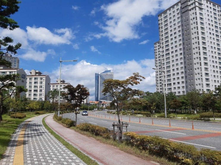 체험형 인턴(9일차) : 네이버 블로그