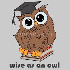 박학다식한 "as wise as an owl" : 네이버 블로그
