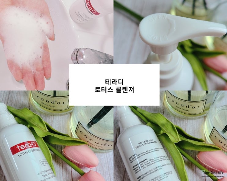 쎄라덤 테라디로터스 식물성클렌저 순해도 잘져요 네이버 블로그