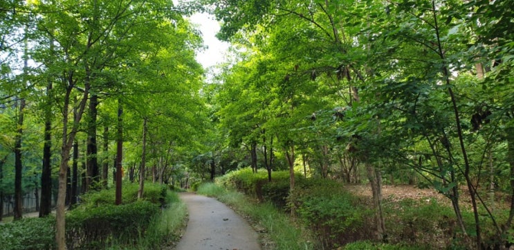 서울 서울 둘레길 송파둘레길 장지천 구간 네이버 블로그