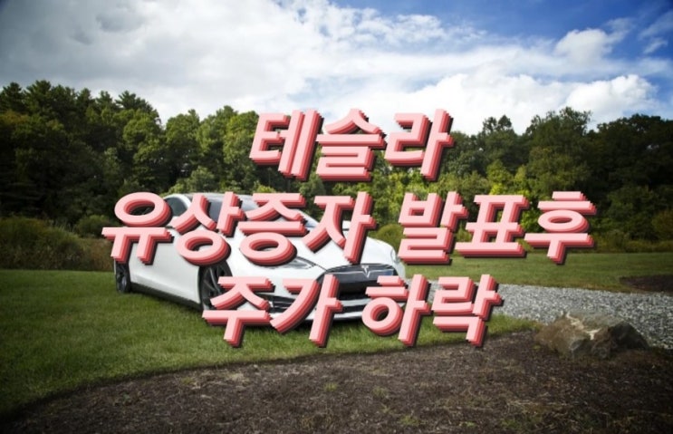 미국주식 테슬라 50억 유상증자 발표 후 주가하락 네이버 블로그
