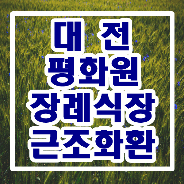 대전 평화원 장례식장 중구 꽃배달 당일 배송 가능 네이버 블로그