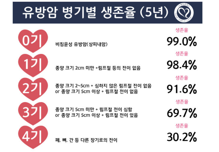 유방암 발생원인 3기 4기 생존율 유방 초음파 검사비용 네이버 블로그
