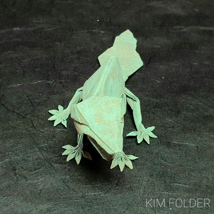 Giant leaf-tailed gecko(자이언트 리프테일 게코) : 네이버 블로그