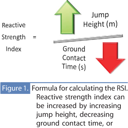 반응근력지수 시리즈 1, Reactive Strength Index란 무엇인가? : 네이버 블로그