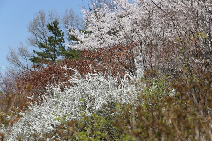 인성(SF9), 휘영(SF9) - Love Gradation (독고빈은 업뎃중 OST Part 1) : 네이버 블로그