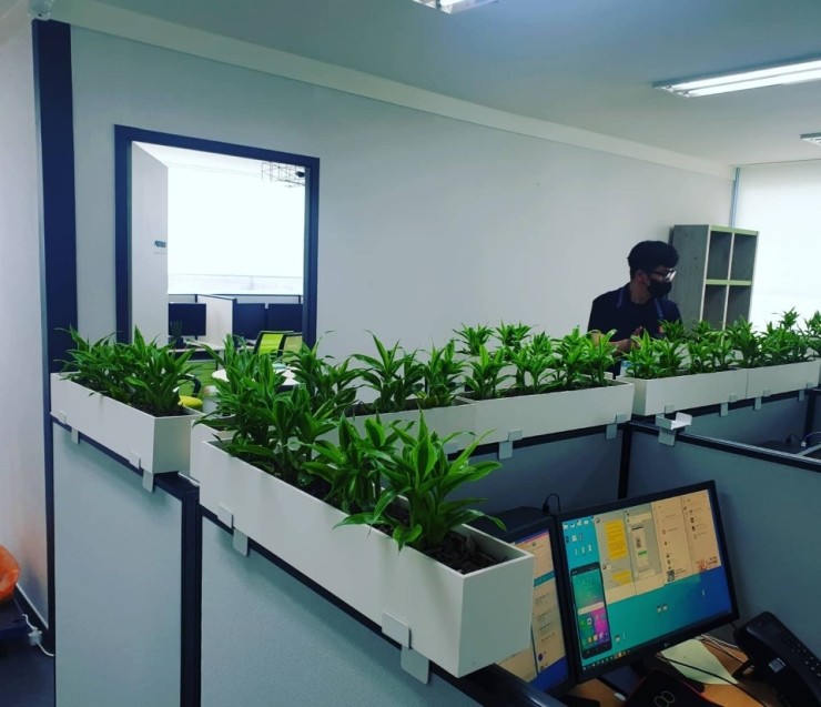 [파티션화분] 사무실 특화 화분 소개합니다. : 네이버 블로그