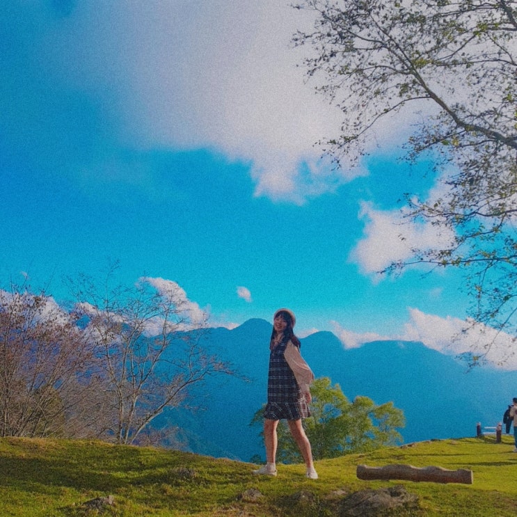 DODIN : 네이버 블로그