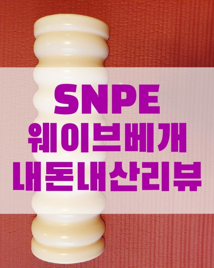 내돈내산 snpe 웨이브베개 운동방법 완벽정리 : 네이버 블로그