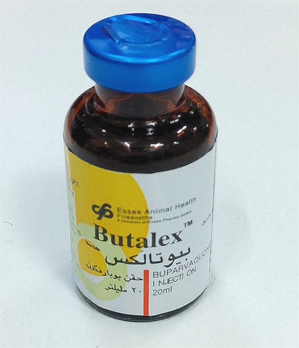 부타렉스 / 아자딘 AZADIN - 타일레리아병 치료제 [일산동물약국/푸른나무아래약국] : 네이버 블로그