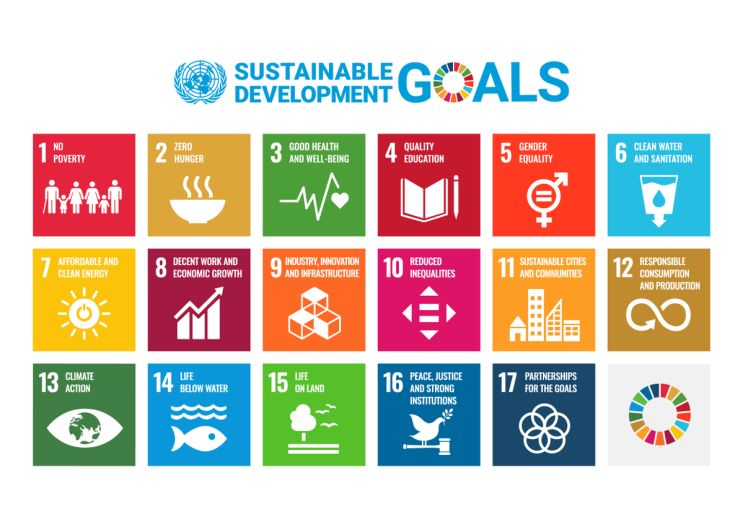[WeKO 2기] 지속가능개발목표(SDGs)가 뭐야?? : 네이버 블로그