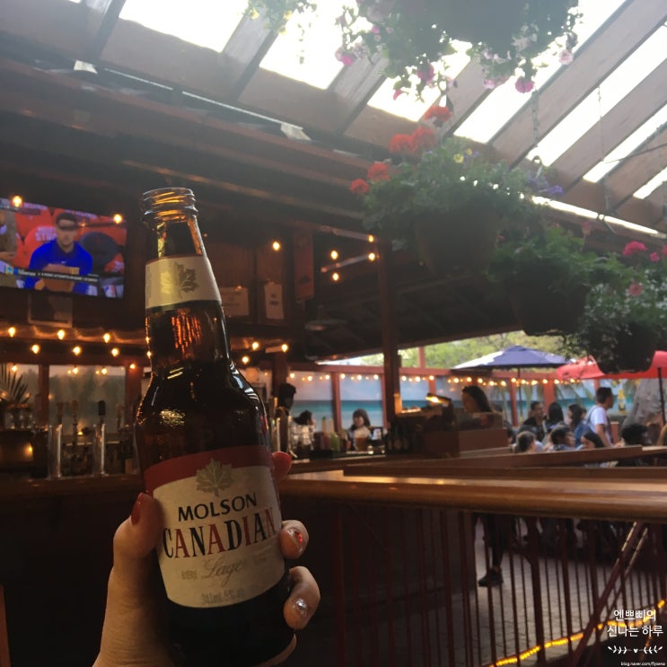 [캐나다 토론토 어학연수#7] 2018.05.24 목 :: Madison Avenue Pub 목요일엔 메디슨 펍! : 네이버 블로그