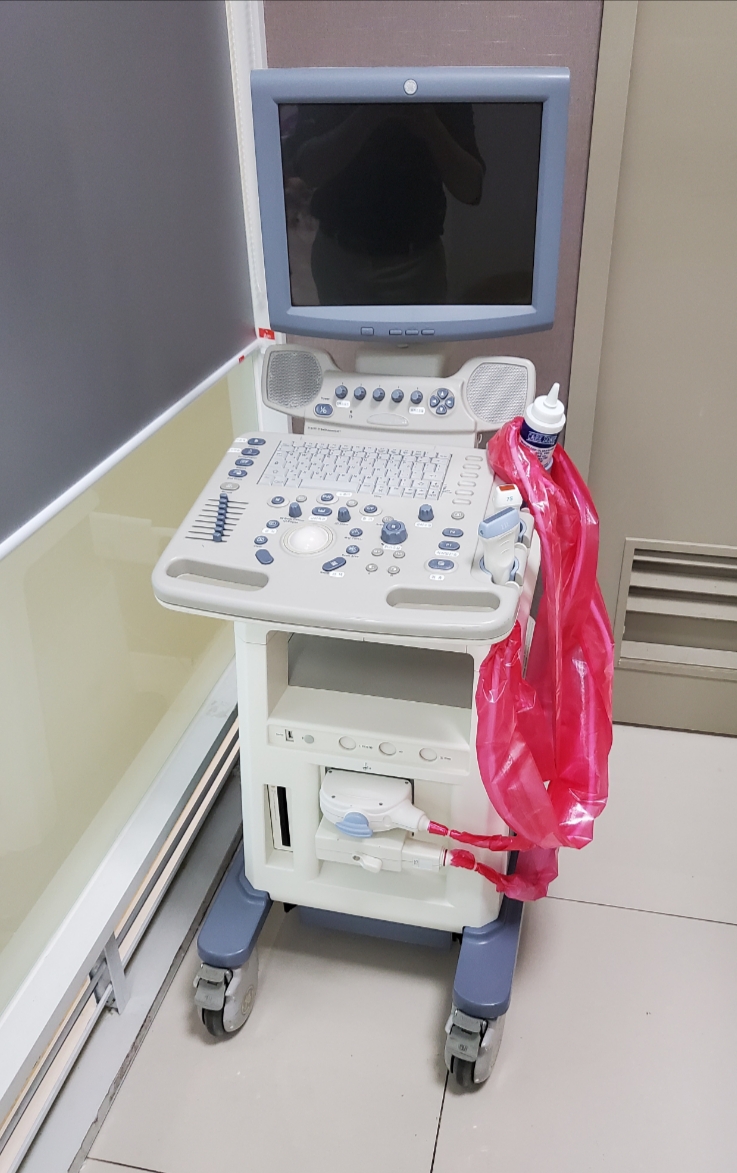 GE P5 동물용초음파 납품 : 네이버 블로그