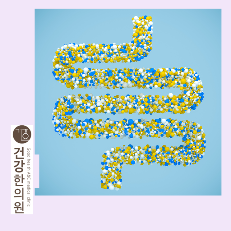 프리바이오틱스 프로바이오틱스 차이 알고 계시나요 네이버 블로그