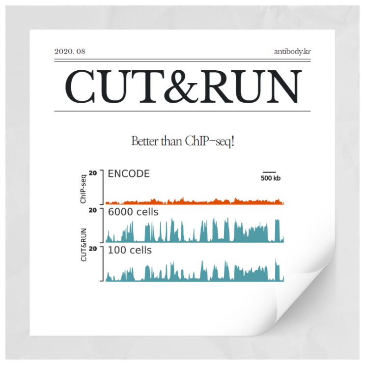 CUT&RUN Sets: ChIP-seq 이상의 성능! : 네이버 블로그