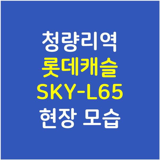 청량리 롯데캐슬 SKY-L65 현장 모습 : 네이버 블로그