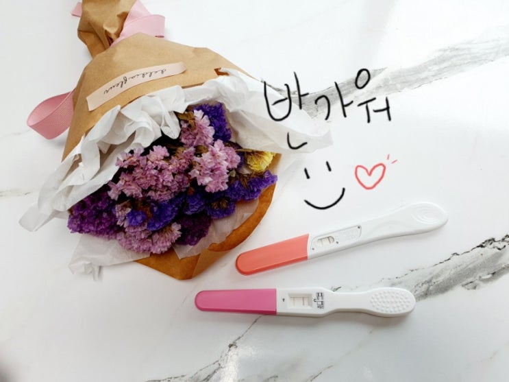 임신 3주차 4주차 증상 임테기 사용시기얼리테스트기 네이버 블로그