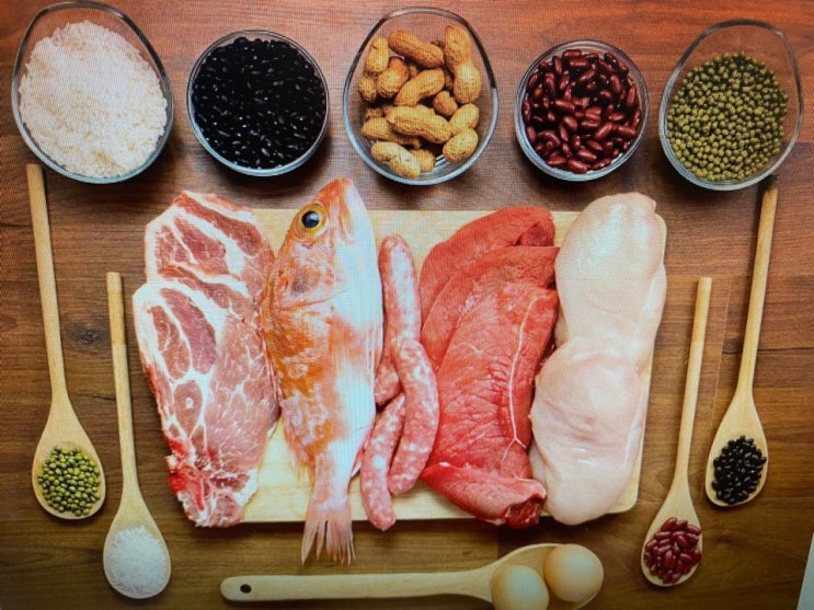 용호동pt 저탄고지 and 고탄저지 : 네이버 블로그