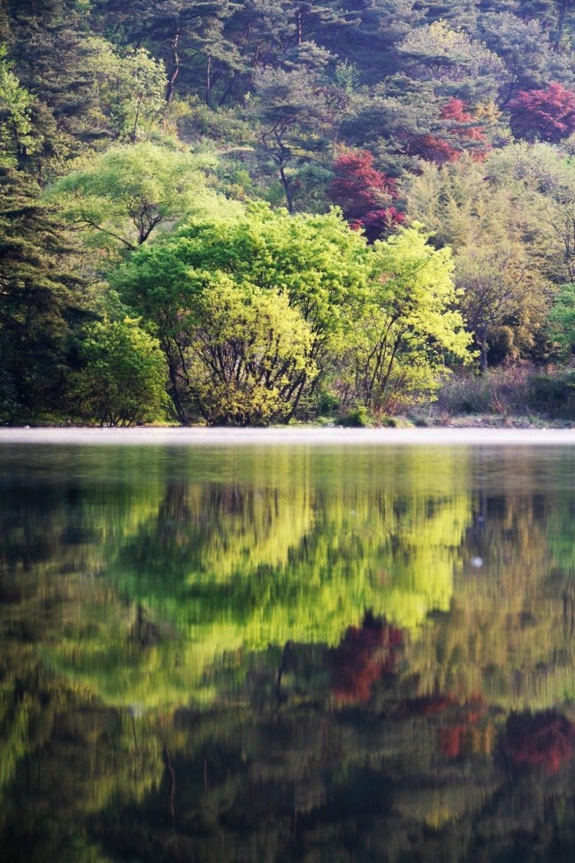 [좋은글]만남을 소중히 여기는 사람 : 네이버 블로그