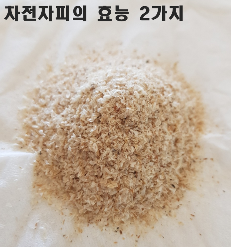 차전자피효능~차전자피 다이어트 차전자피 변비개선 차전자피 권장량 차전자피 다이어트 꿀팁 등 자전자피효능 함께 알아보시죠