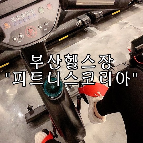 부산헬스장 운동맛집으로 유명한 피트니스코리아 헬린이의 한달 후기 네이버 블로그