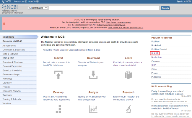 NCBI Blast 사용법 (Primer sequence 확인) : 네이버 블로그