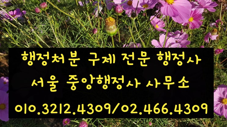 시각장애인의 경우 시각장애 판정시기 및 판정기준 네이버 블로그