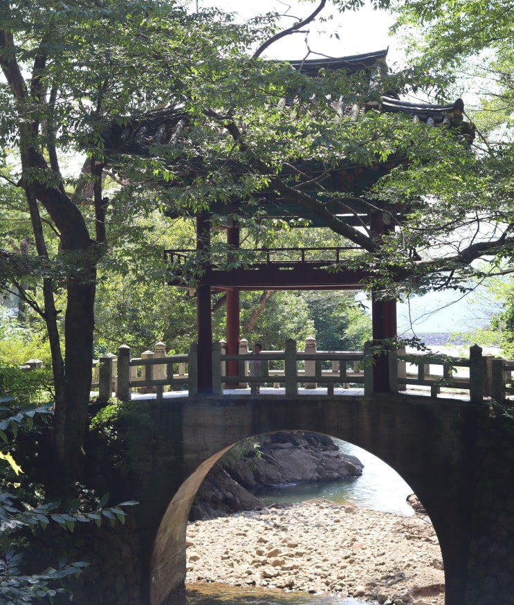 구례 천은사구례 천은저수지수홍루미스터션샤인촬영지구례드라이브코스 네이버 블로그