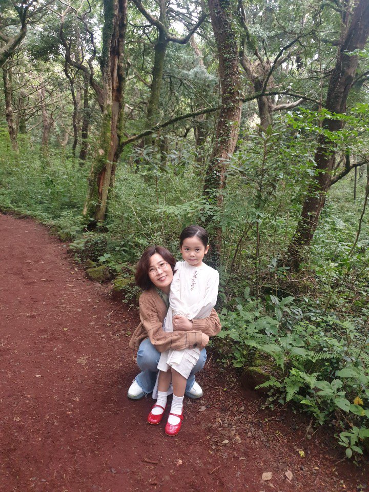 KBS1 추석 특집 방송 나무야 나무야 촬영 스토리 : 네이버 블로그