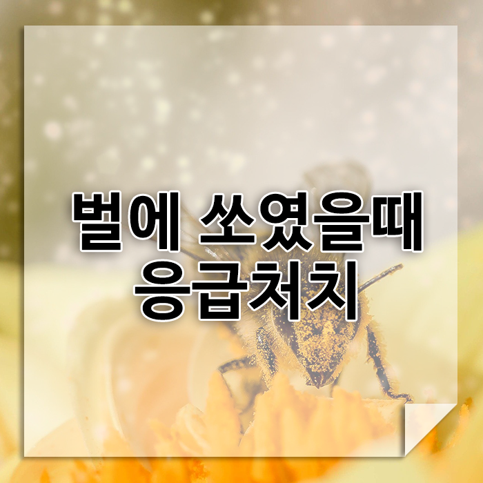 벌에 쏘였을 때 응급처치 방법 네이버 블로그