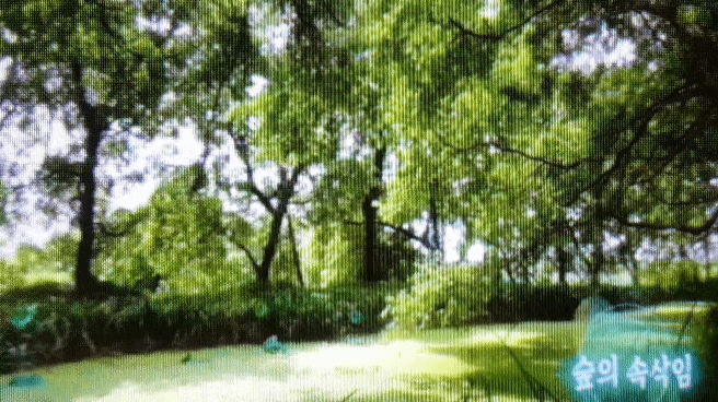 [가만히10분멍TV] EBS (feat.숲의속삭임) : 네이버 블로그