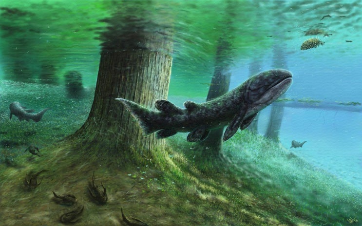 홀로프티키우스(Holoptychius)- : 네이버 블로그