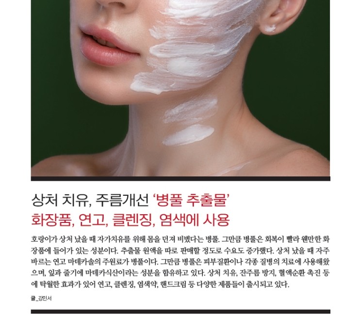 상처 치유 주름개선 ‘병풀 추출물 화장품 연고 클렌징 염색에 사용 네이버 블로그
