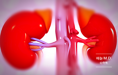 의학용어 Prefix(2) Nephro, Neuro, Angio, Hemo, Hystero, Cysto, Encephlo ...