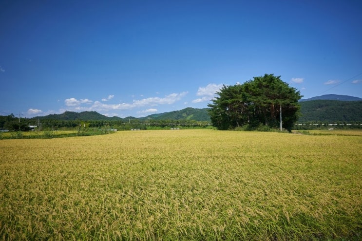 지리산 둘레길 6코스 수철에서 성심원까지 : 네이버 블로그