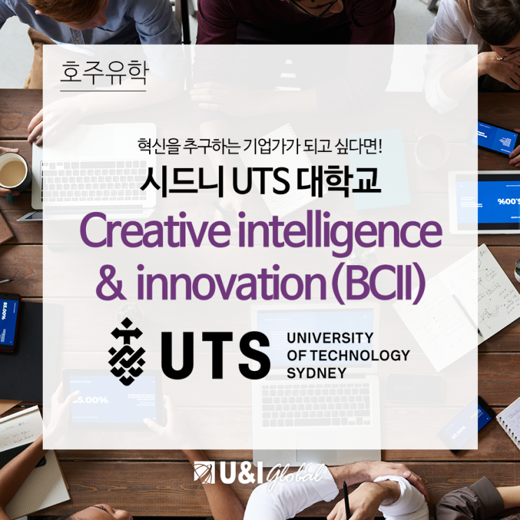 [호주유학] UTS 시드니 공과대학교 Bachelor of Creative intelligence and innovation ...
